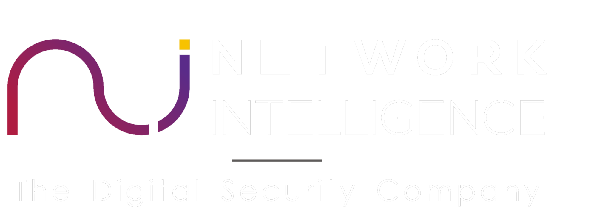 Certified Payment Security Practitioner – Network Intelligence